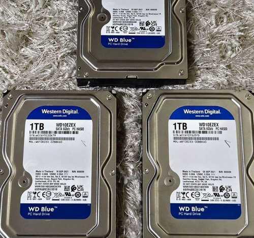 Жесткий диск WD Blue 1TB (Новые) HDD, SATA III