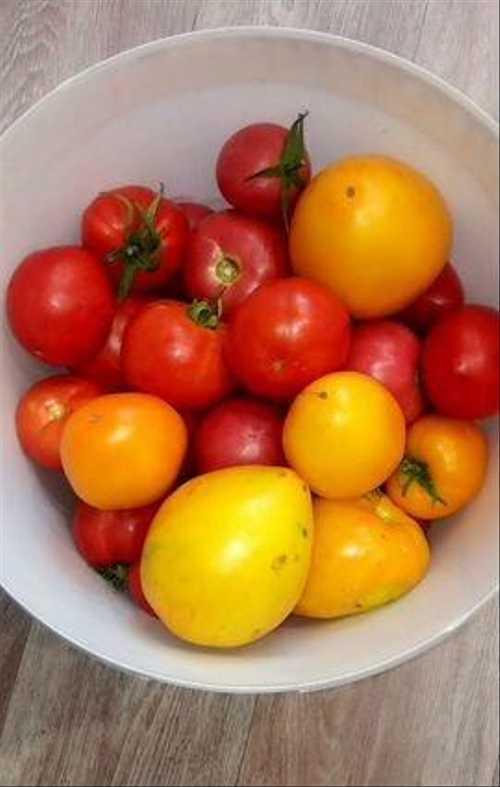 Помидоры/томаты домашние