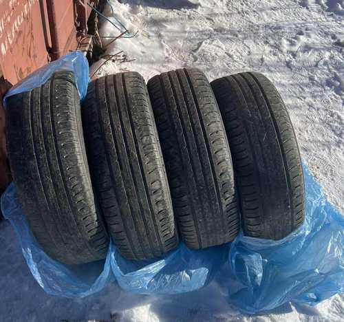 Nokian Tyres Nordman SX2 195/65 R15