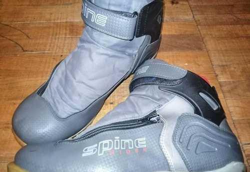 Лыжные ботинки spine rider