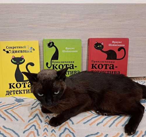 Книги Приключения кота детектива