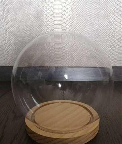 Стеклянная ваза-флорариум