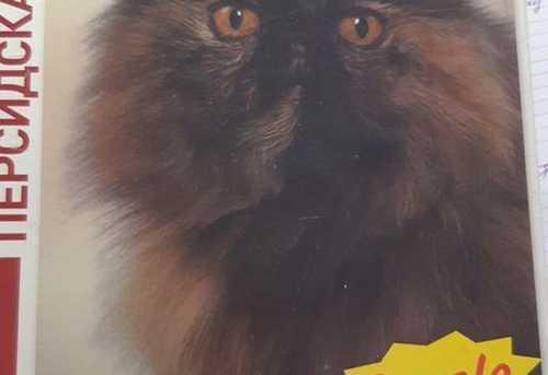 Пазл персидская кошка 252