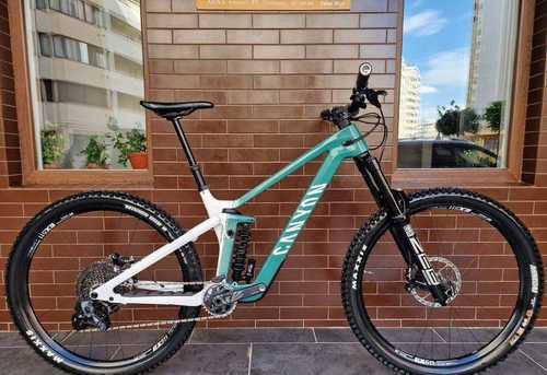 Canyon Strive CFR TLD Carbon L