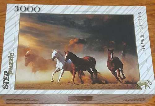 Пазлы 3000