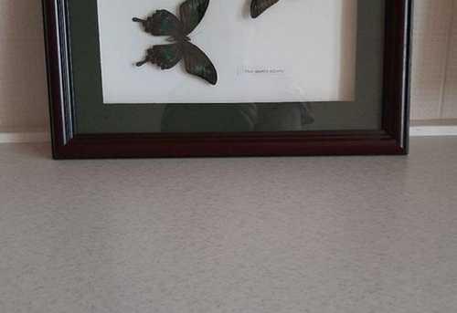 Картина- панно с бабочками