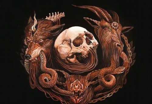 Виниловая пластинка Arch Enemy - Will To Power (Co