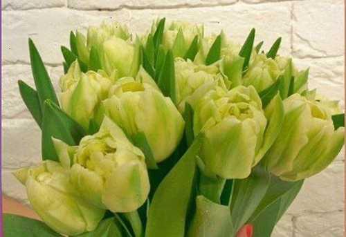 Очень красивые тюльпаны для милых дам