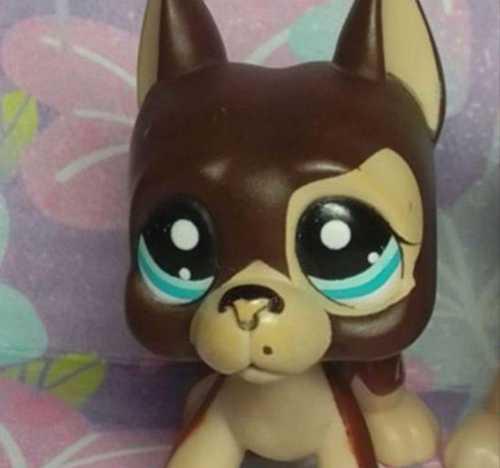 Littlest pet shop