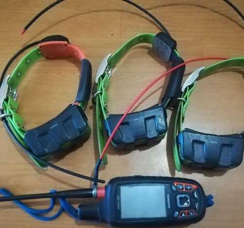Garmin astro 320 и три ошейника dc50