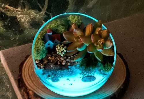 Флорариум свет водоем суккуленты дом подарок букет