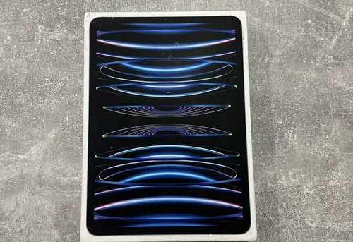 iPad Pro 11 M2 256GB
