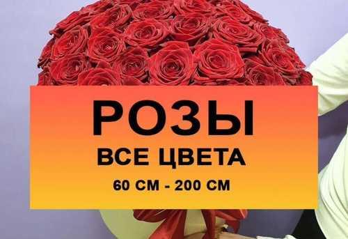 101 51 роза, букет цветов, розы с доставкой