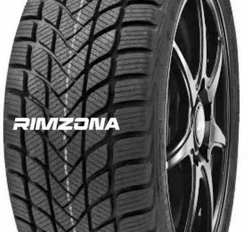 Delinte Winter WD6 205/55 R17 95H