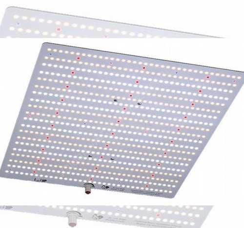 LED Firefly 150, Quantum Board