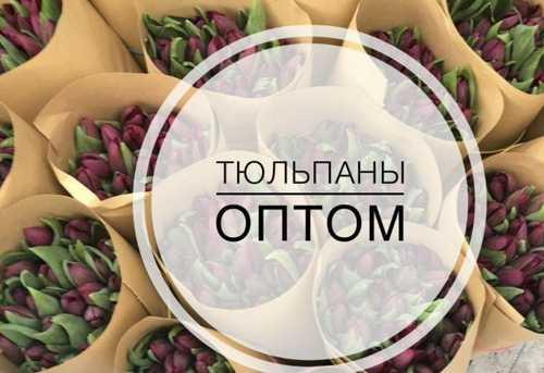 Тюльпаны оптом
