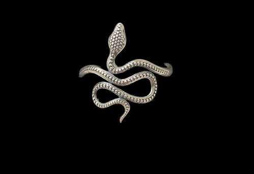 Серебряное кольцо змея