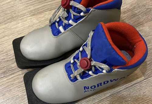 Лыжные ботинки nordway 31