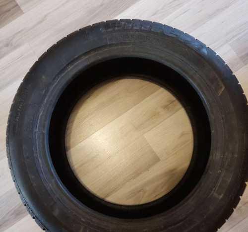 Tigar Winter 1 205/55 R16