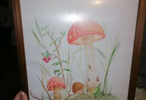 Картина акварелью грибочки