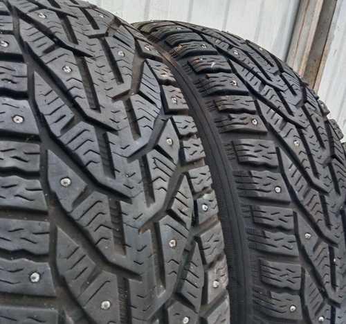 Tigar Ice 195/65 R15