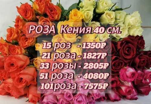 Роза 15 21 33 52 101