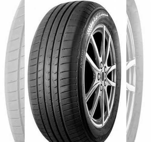 Autogreen Smart Chaser-SC1 205/55 R16 91V