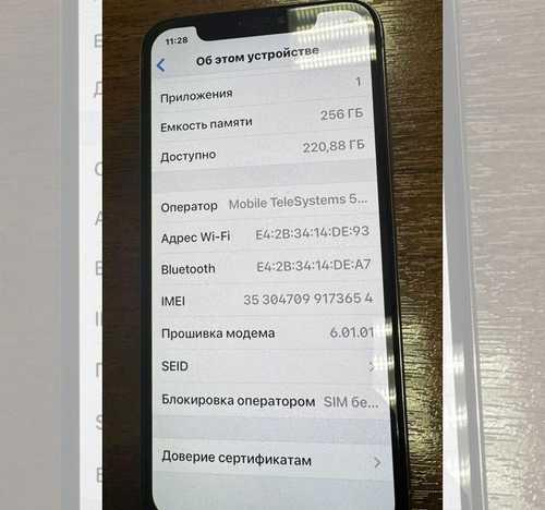 iPhone X, 256 ГБ