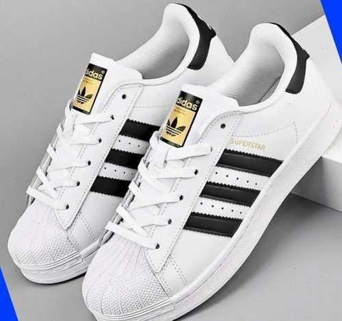 Кроссовки Adidas Originals Superstar белые к4п4п