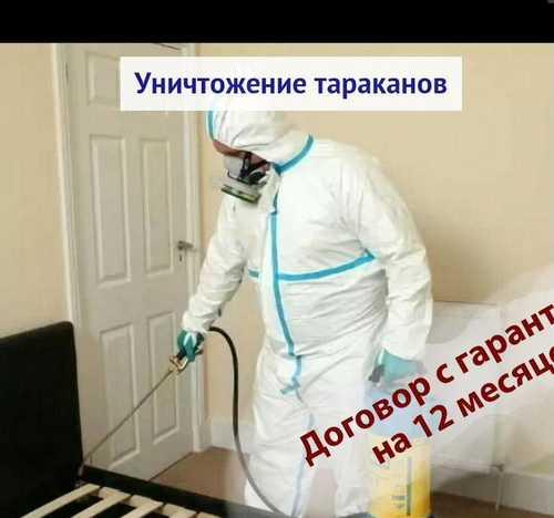 Уничтожение клопов тараканов грызунов