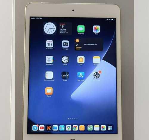 iPad mini 4 128gb cellular