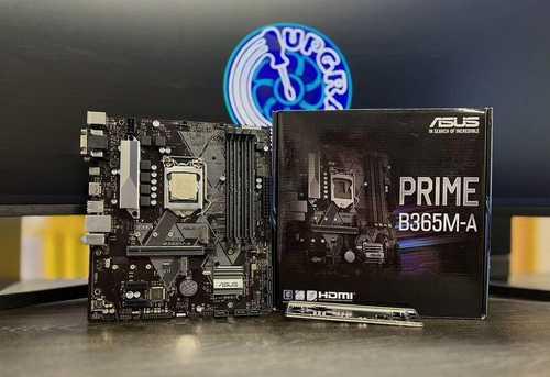 Intel Core i5 9400F + Asus Prime B365M-A