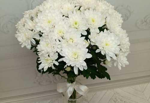 Букет из 9 белых хризантем Доставка цветы