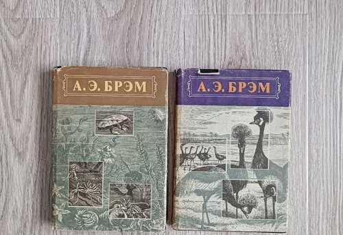 Книга Брэм Жизнь животных