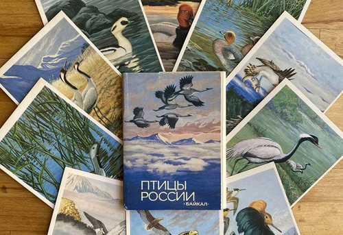 Винтажные открытки «Птицы» 16 шт., 1986 год