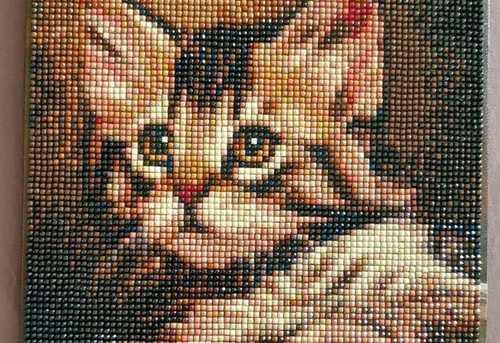 Картина Котик алмазная мозаика