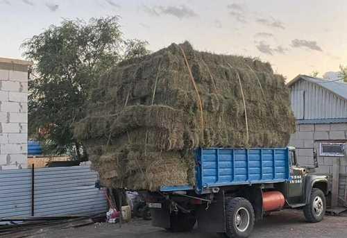 Чернозем,Навоз Крс,Перегной прелый,Грунт,ЗИЛ