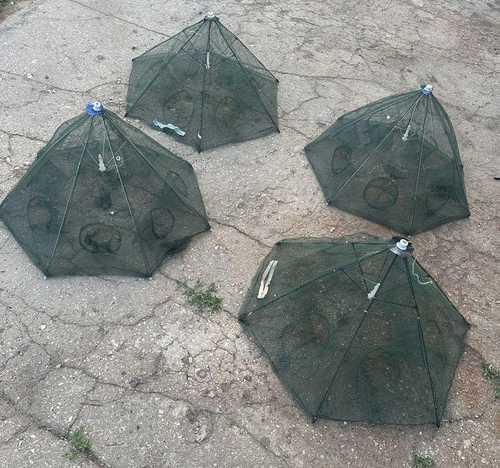 Раколовка зонтик