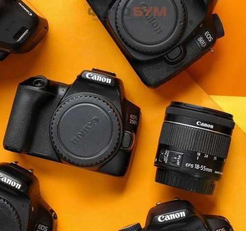 Любительские фотоаппараты Canon