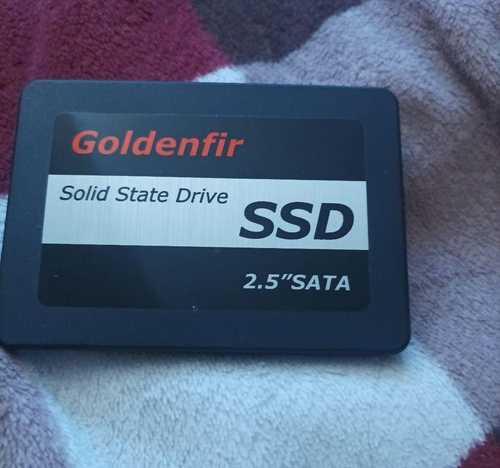 Ssd Goldenfir 256gb