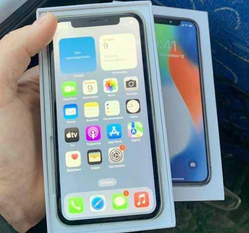 iPhone X, 256 ГБ