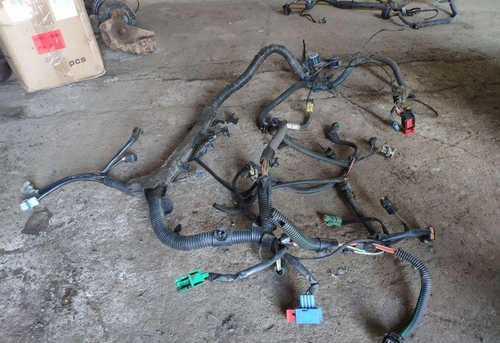 Проводка двигателя Peugeot 406 рестайлинг