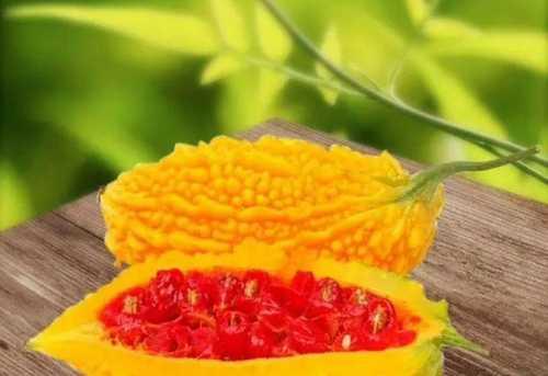 Момордика "Жёлтый дракон" - семя