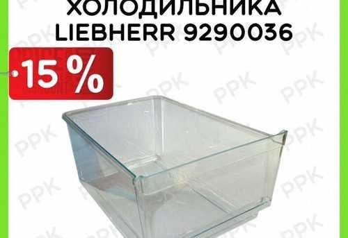 Ящик овощной для холодильника Liebherr 9290036