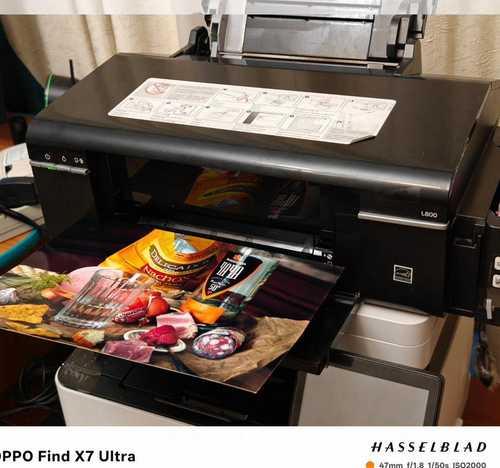 Epson L800