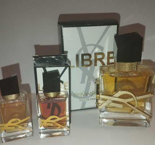 Libre Yves Saint Laurent