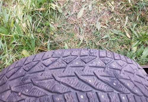 Tigar Winter 215/65 R16 102T