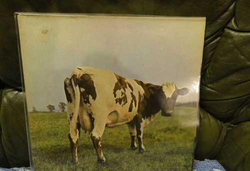 Pink Floyd LP (личная коллекция )