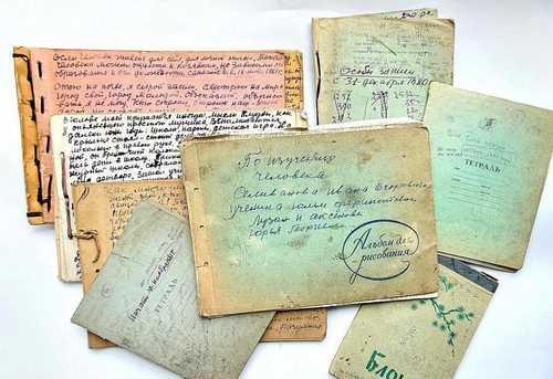 Дневники всемирно известного художника Селиванова