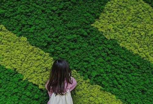 Природная свежесть: стены, наполненные растениями